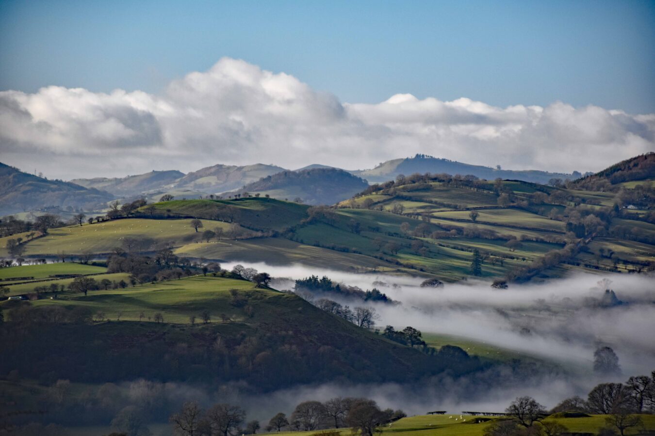 5 Ideas for an outdoor micro adventure in Shropshire - Visit Shropshire