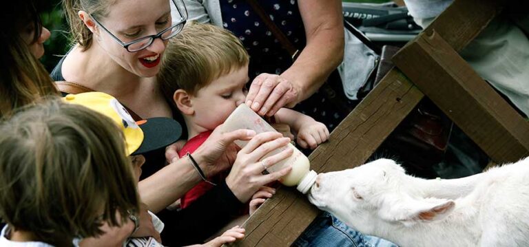 Things to do in Shropshire this Easter - Visit Shropshire