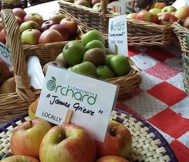Apple Day - Visit Shropshire