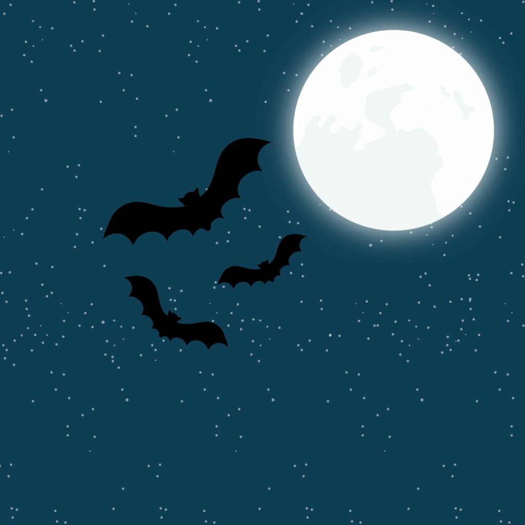 Angels of the Night Bat Walk and Talk - Visit Shropshire