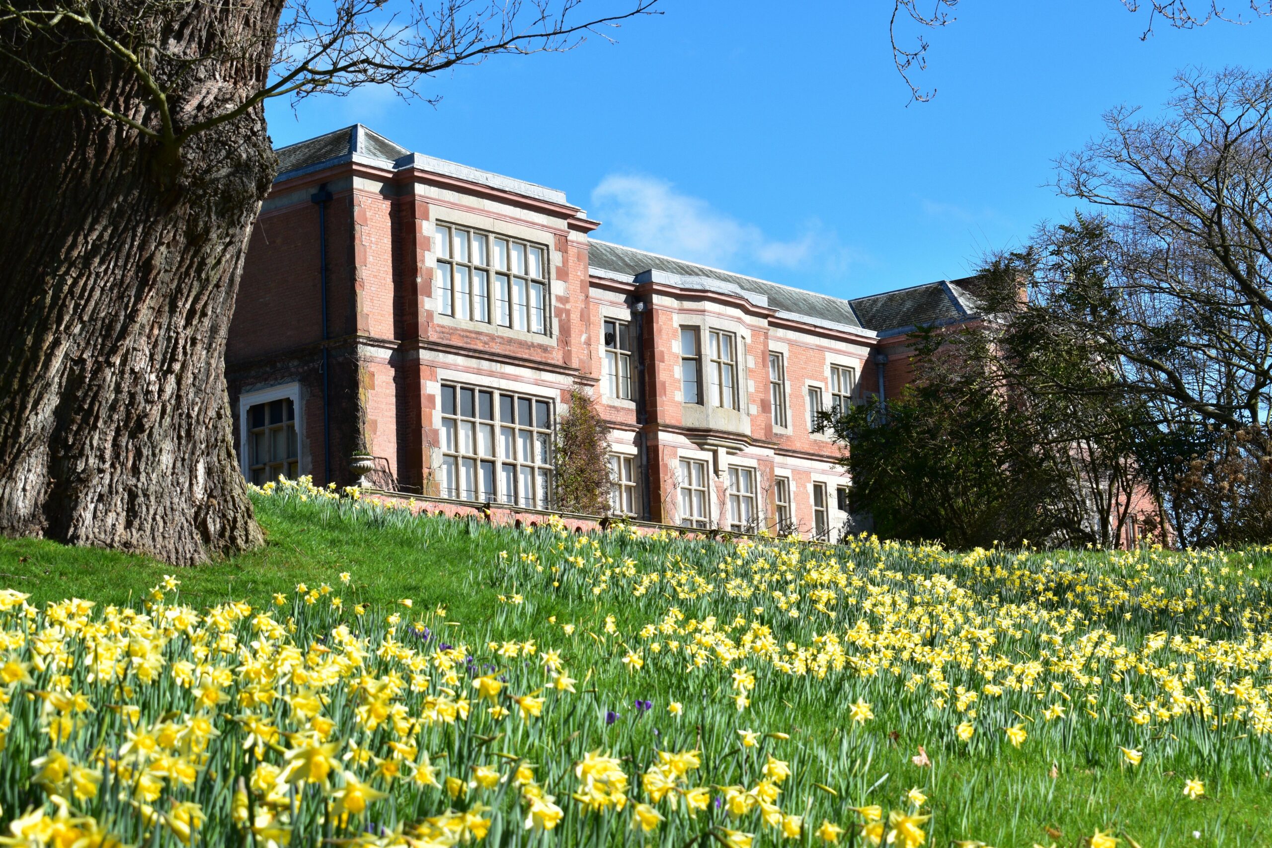 Hodnet Hall Gardens - Visit Shropshire