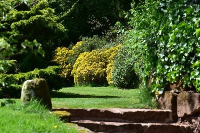 Hodnet Hall Gardens - Visit Shropshire