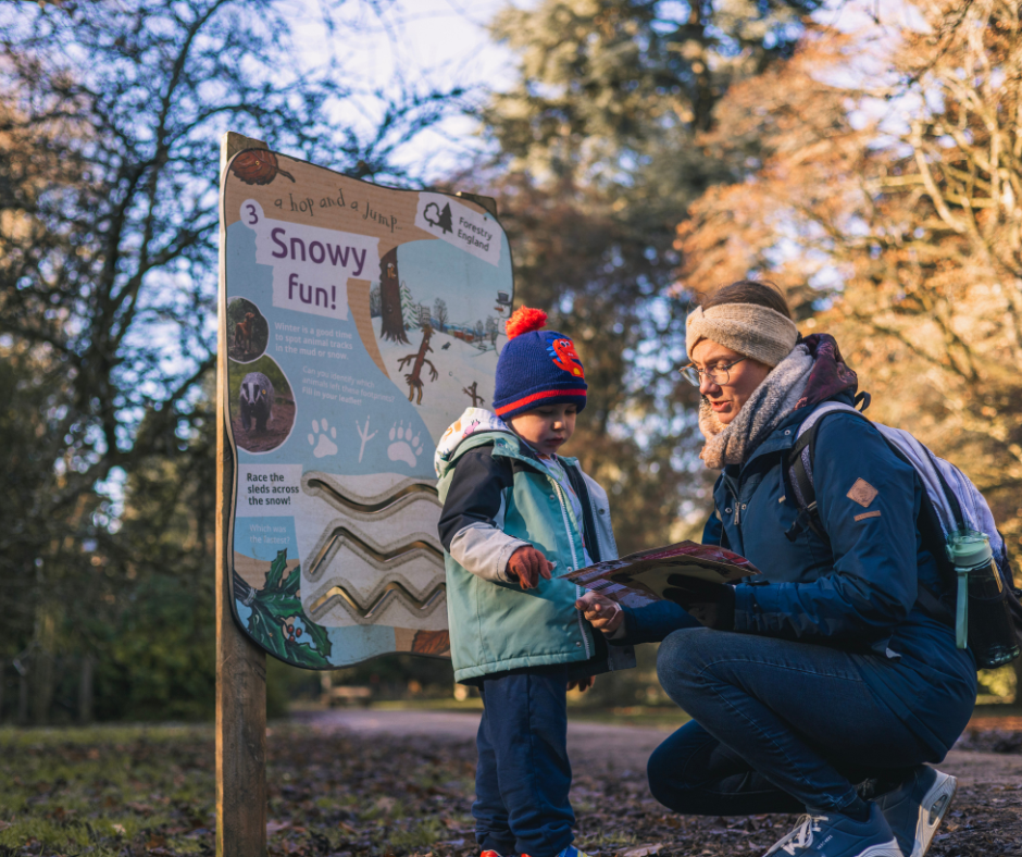 Stick Man brings Christmas magic to Haughmond Hill with festive winter ...